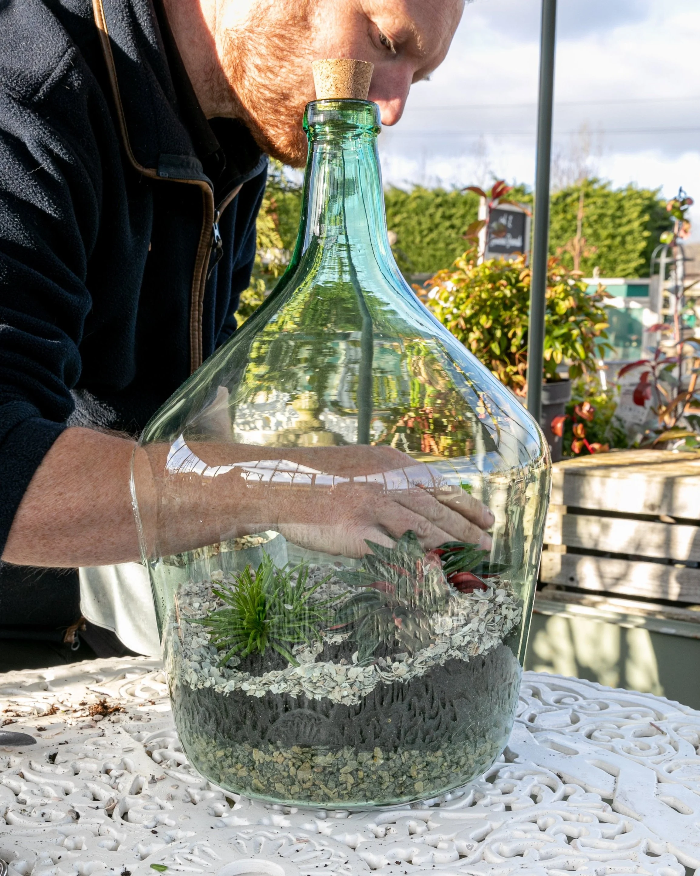 How to: Make your own terrarium — Wellington Home and Gardens