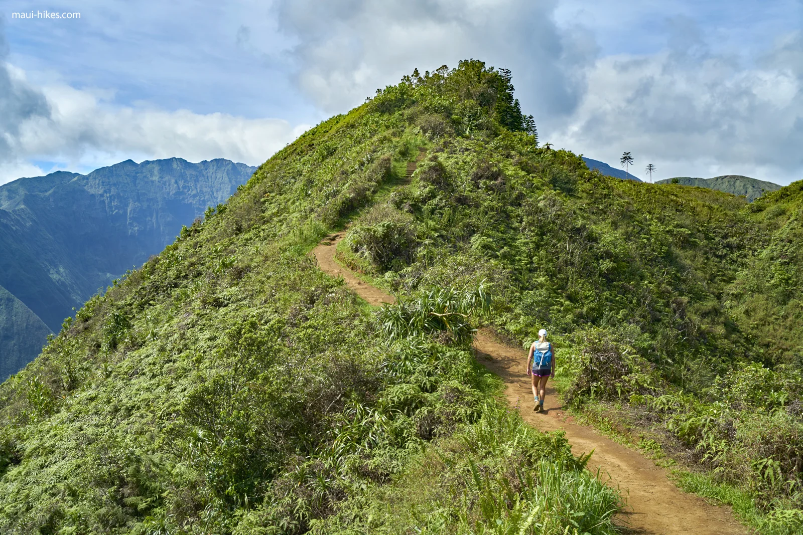 Waihe'e Ridge Trail — Maui Hikes