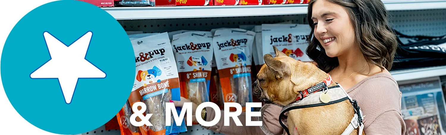 Discount Beauty Supplies, Accessories, Luggage, Electronics, Toys & Pet ...