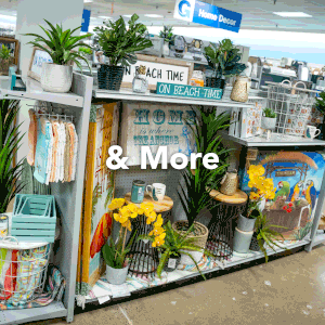 Discount Beauty Supplies, Accessories, Luggage, Electronics, Toys & Pet ...