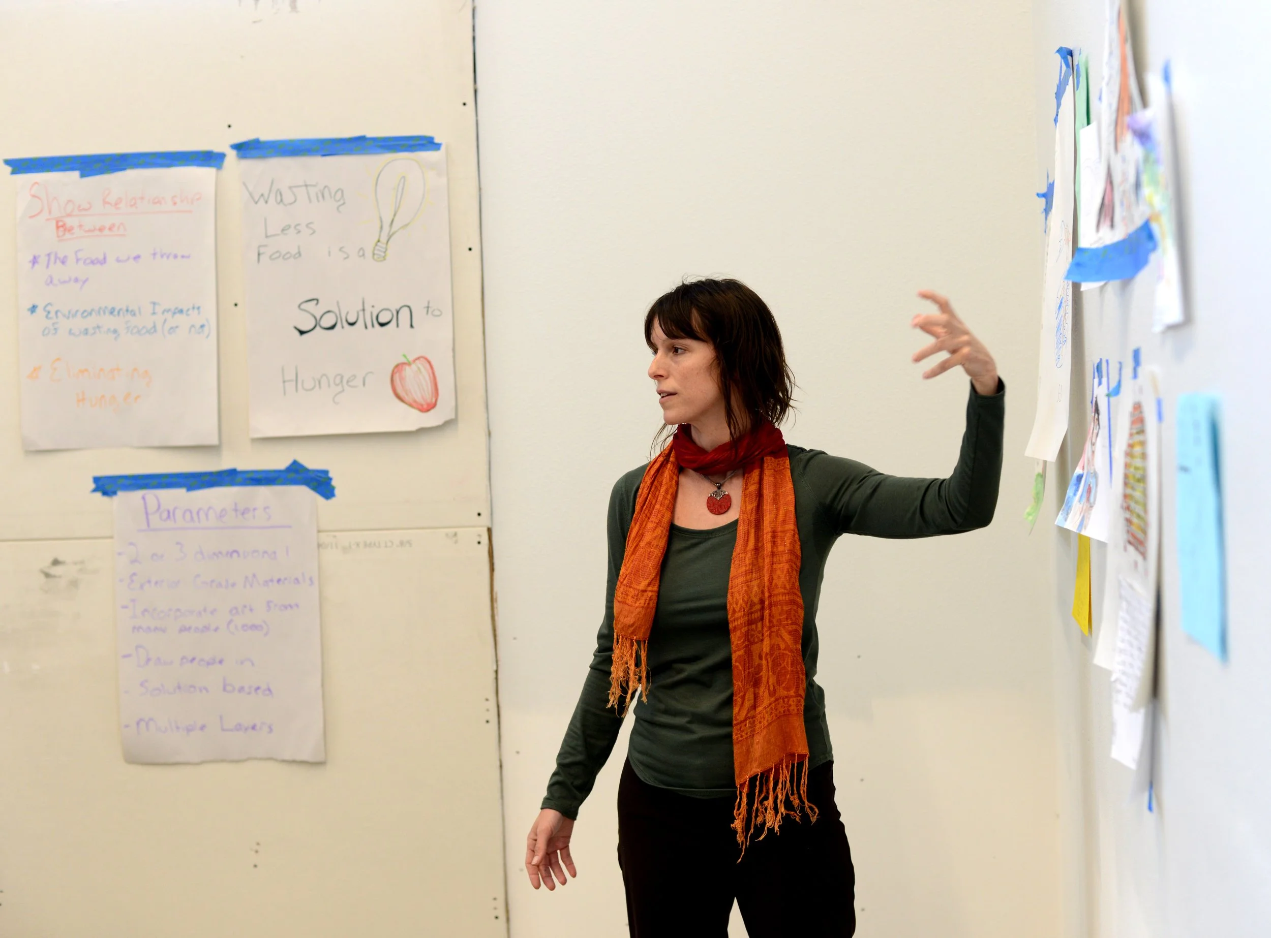 Carrie Ziegler: Earth Art