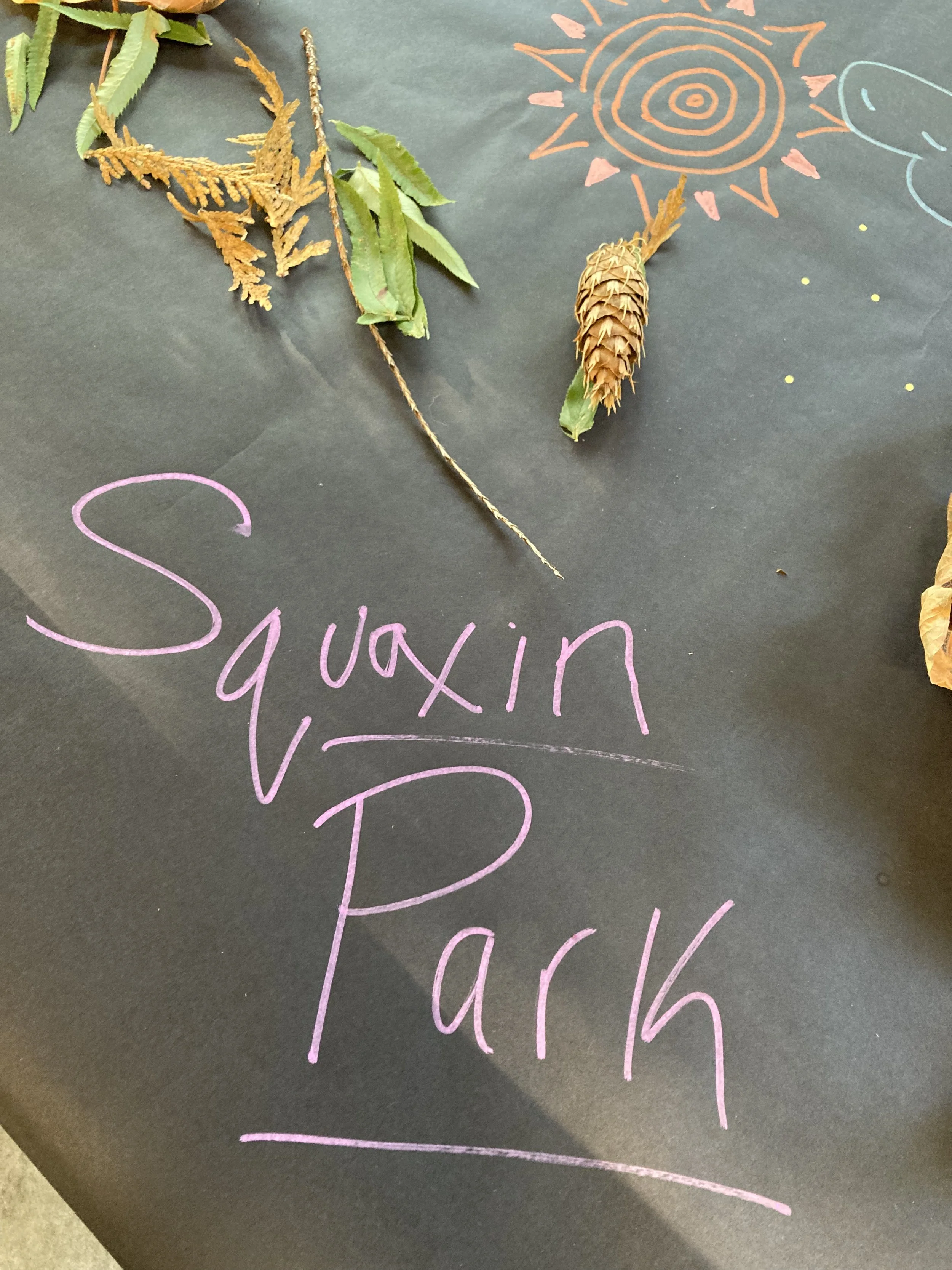 What is and What if… A Visioning and Art Workshop in the Forest ...