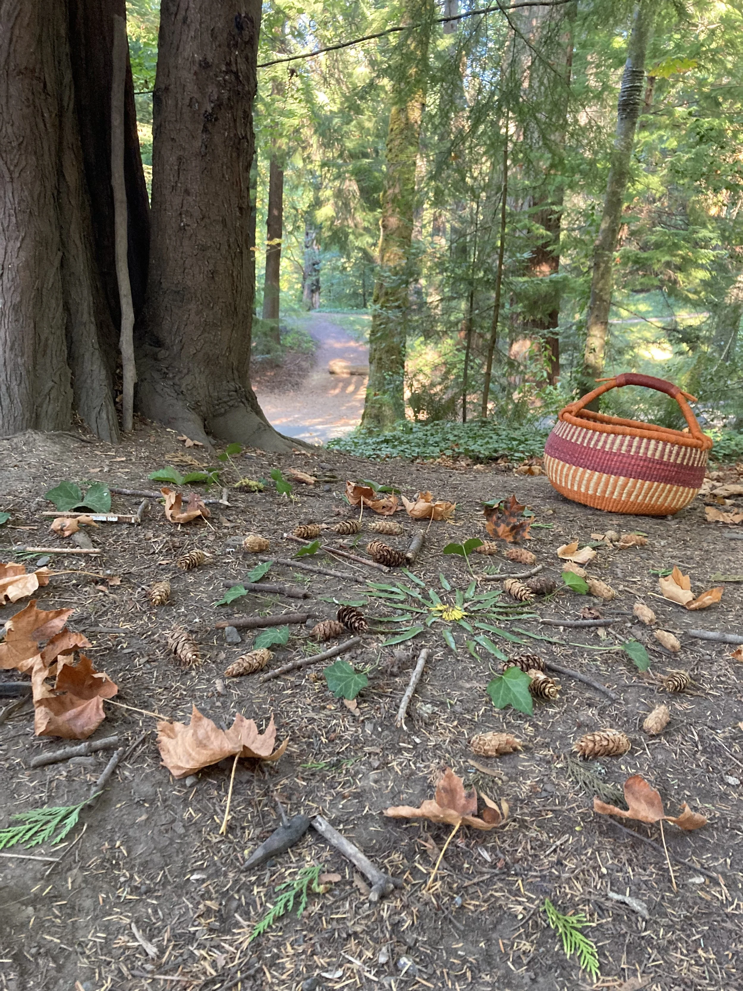 What is and What if… A Visioning and Art Workshop in the Forest ...