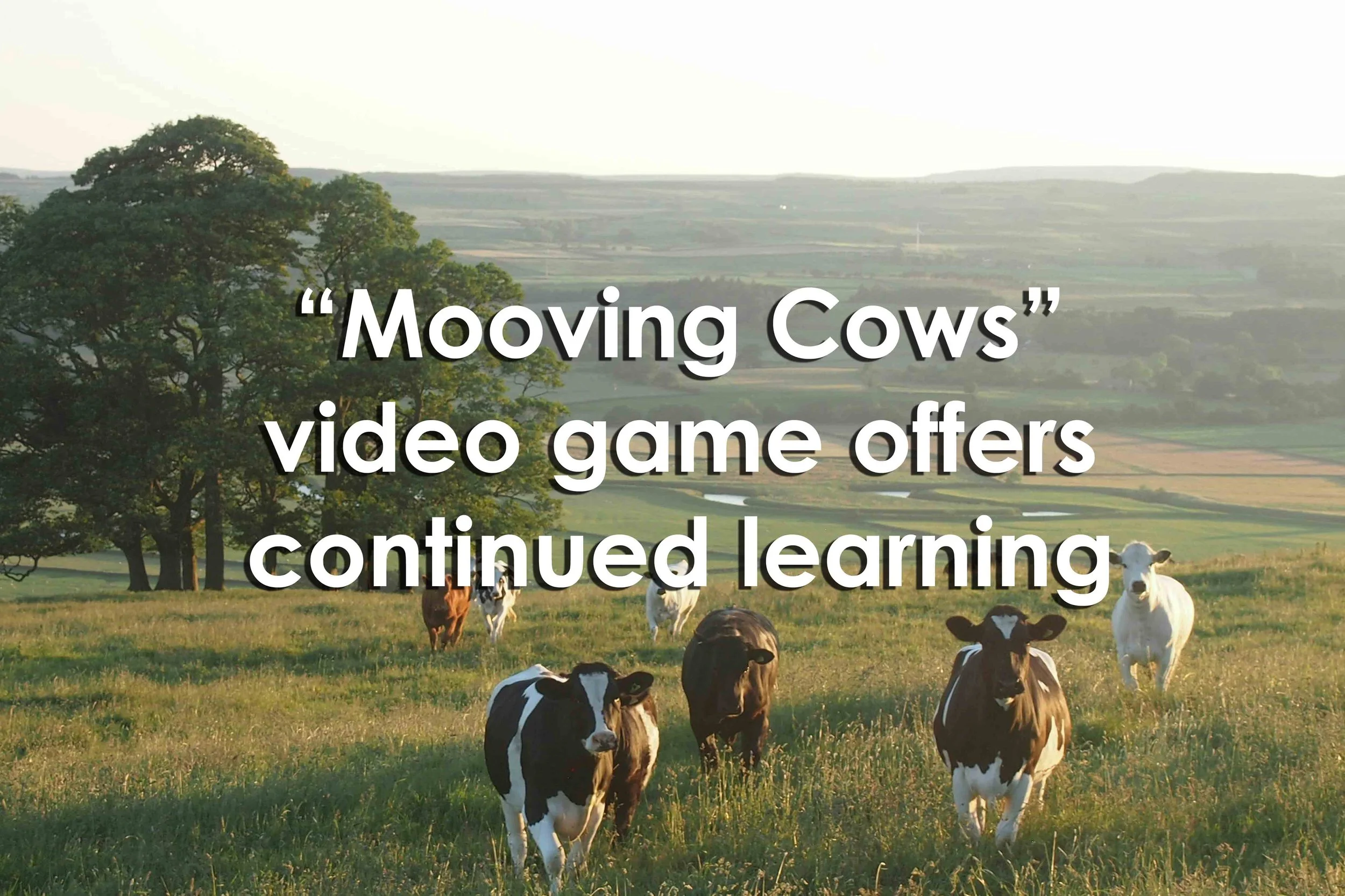 “Mooving Cows” video game offers continued learning — University XP