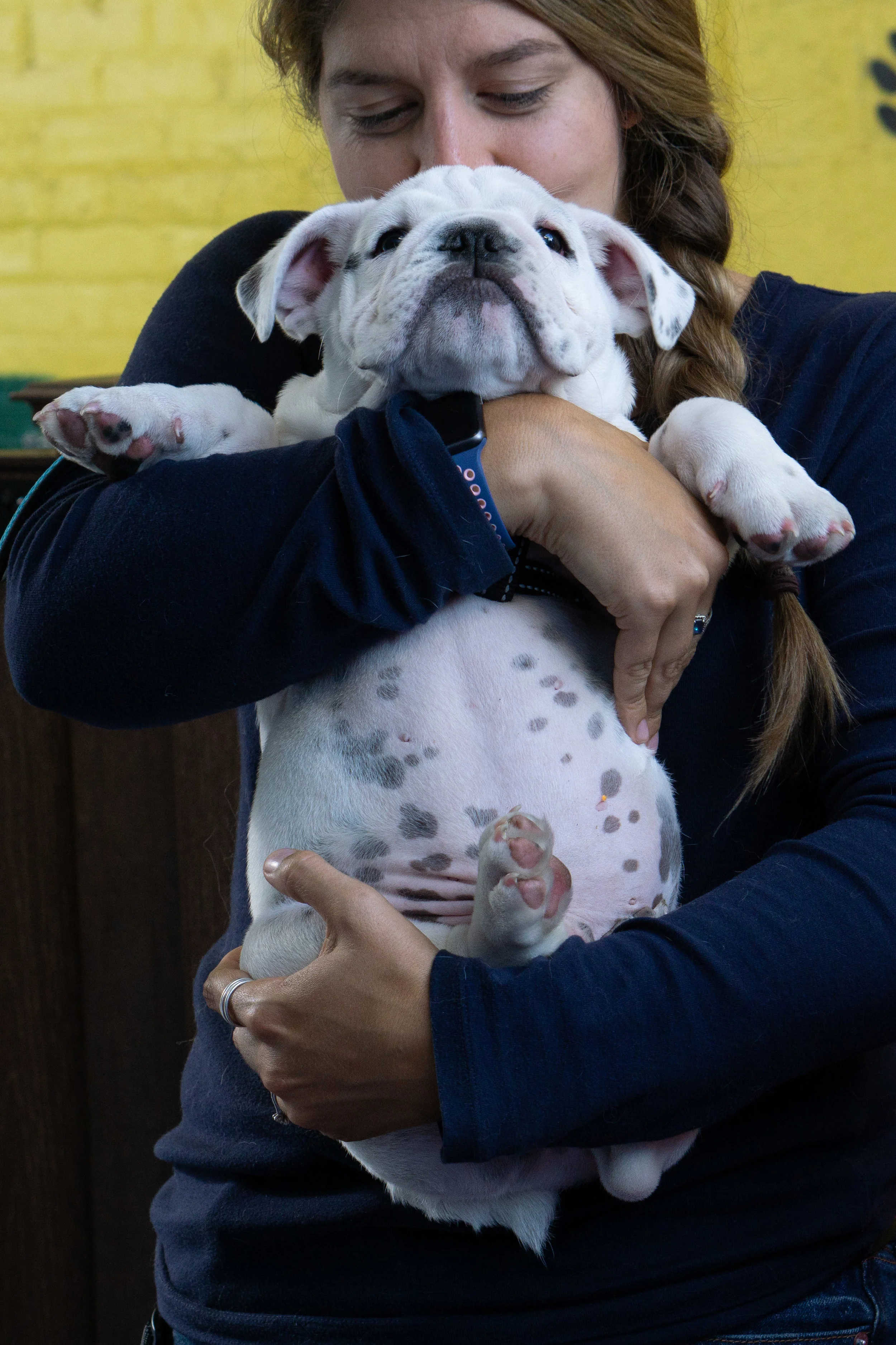 unleashed — WilderPix Photography