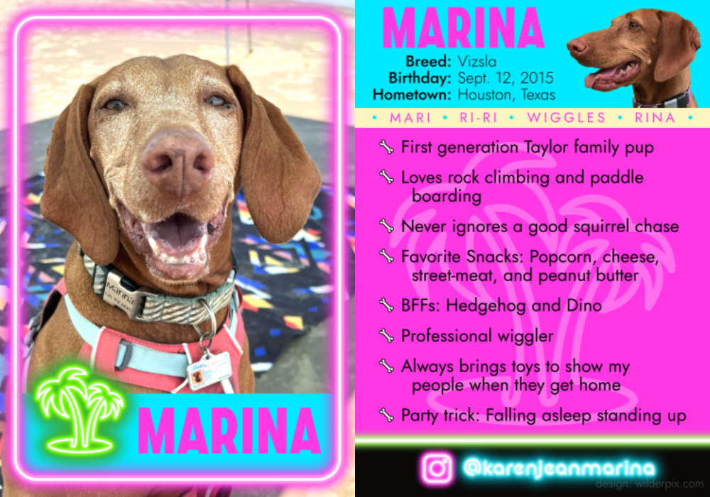 Custom trading cards for your pet — WilderPix Photography