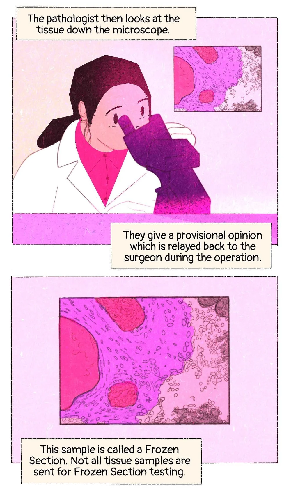 Obtaining a Diagnosis — Brain Tumour Support