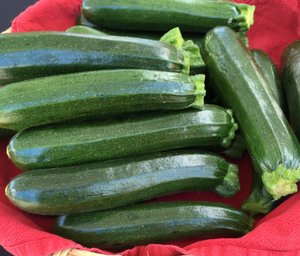 Zucchini — Hillsboro Farmers' Markets