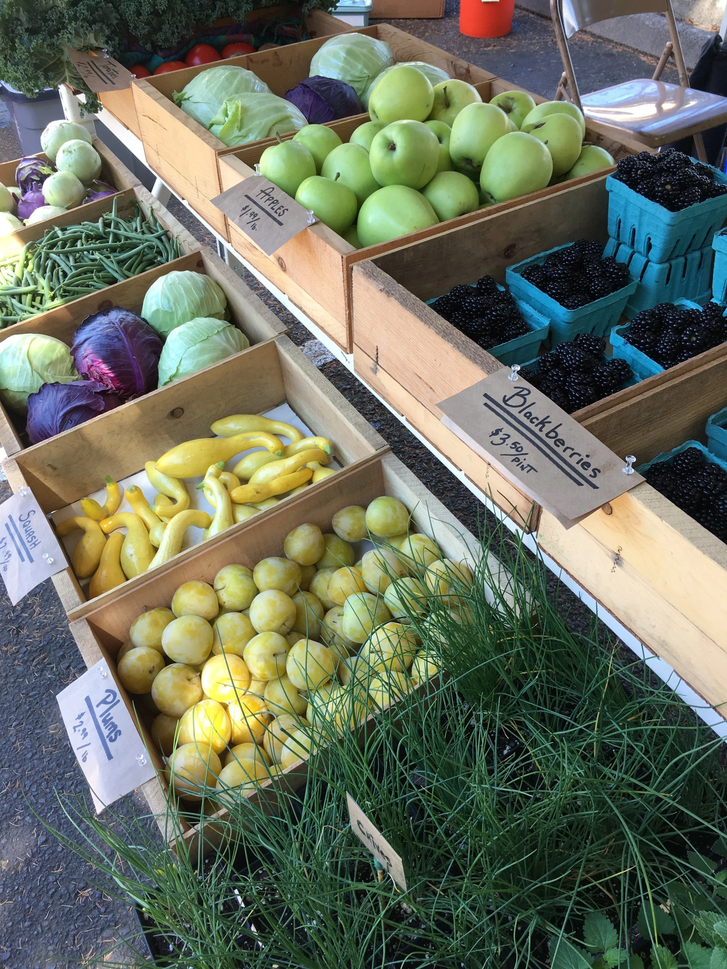 HFM 101 — Hillsboro Farmers' Markets