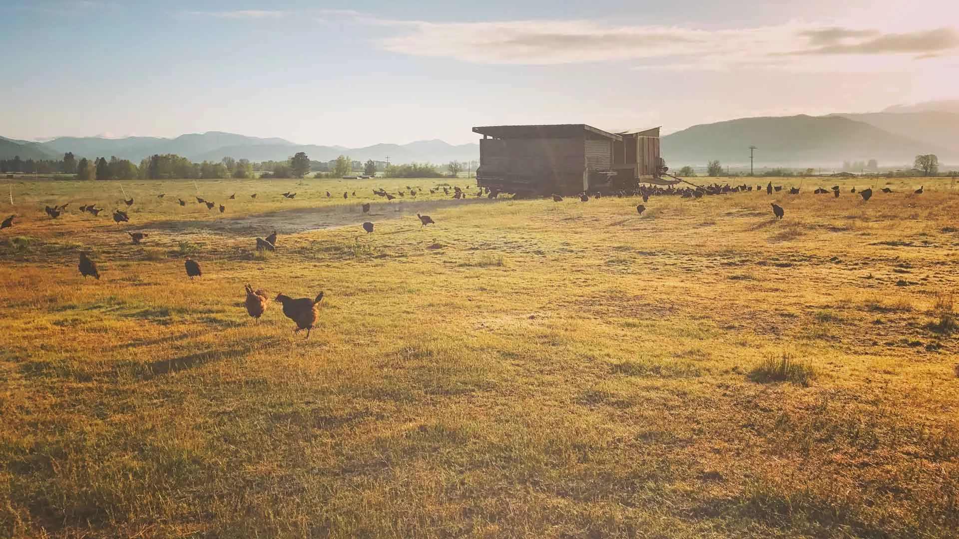 Give to Rockside Ranch — Rockside Ranch
