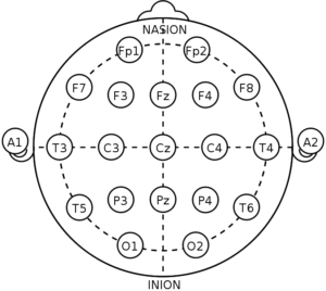 tDCS Electrode Placement Map Explained — tDCS.com