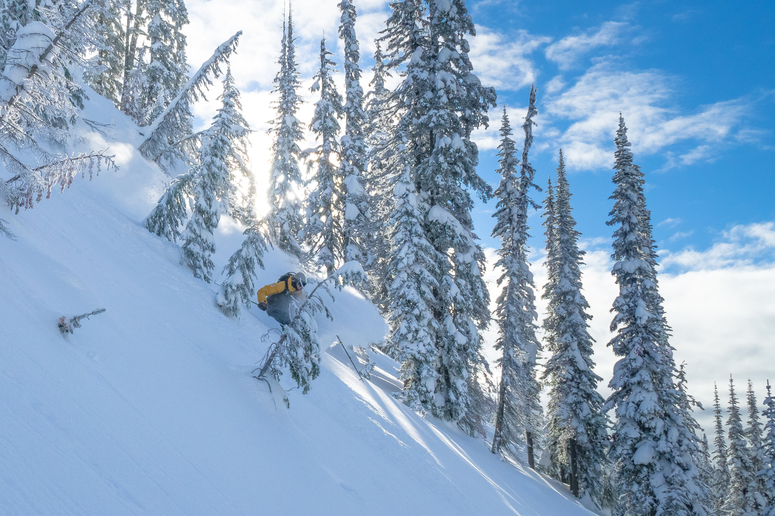 Powder Highway Epic: 13 Ski and Snowboard Package Tour in Canada ...