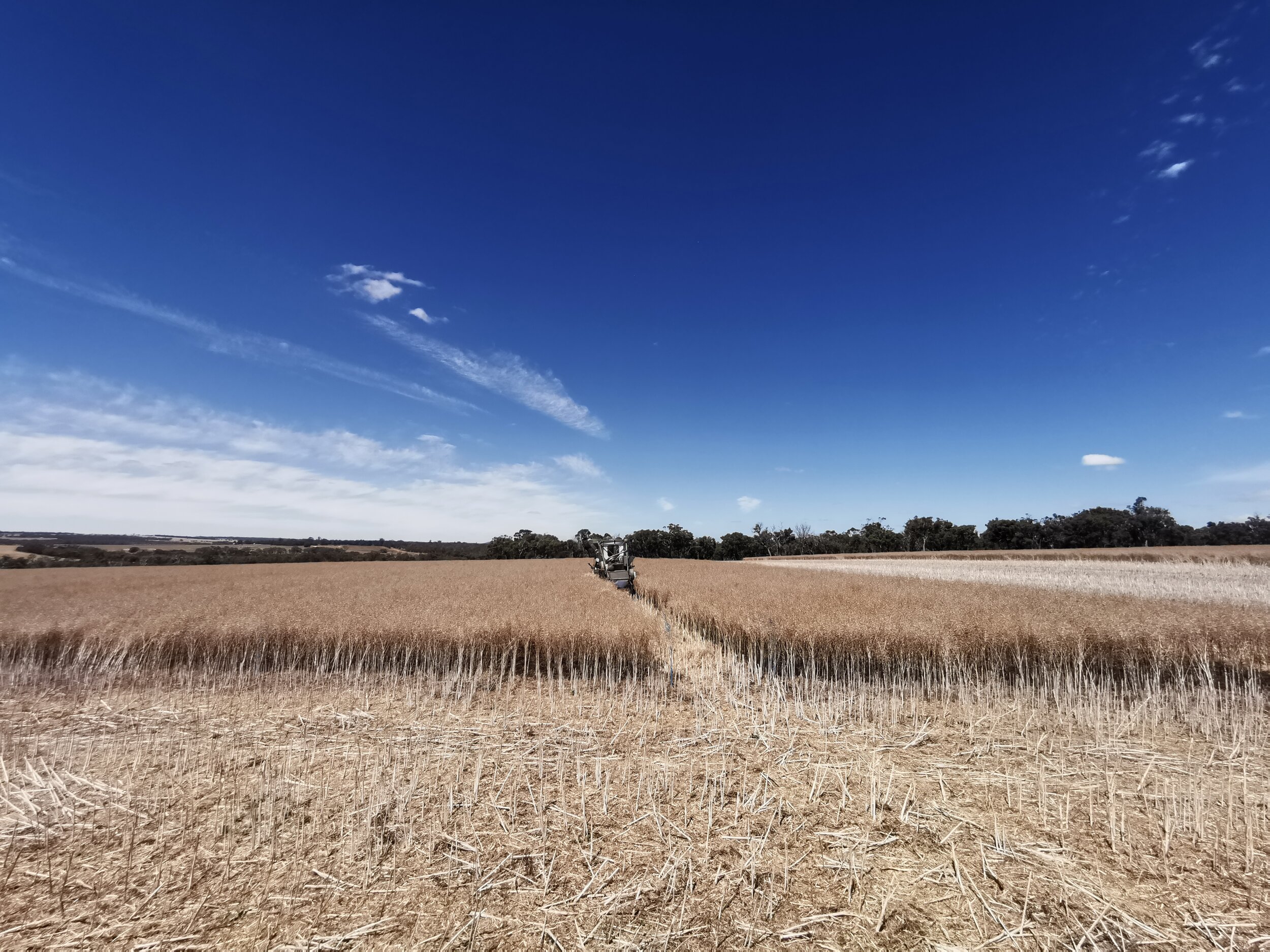 Stirlings To Coast Farmers