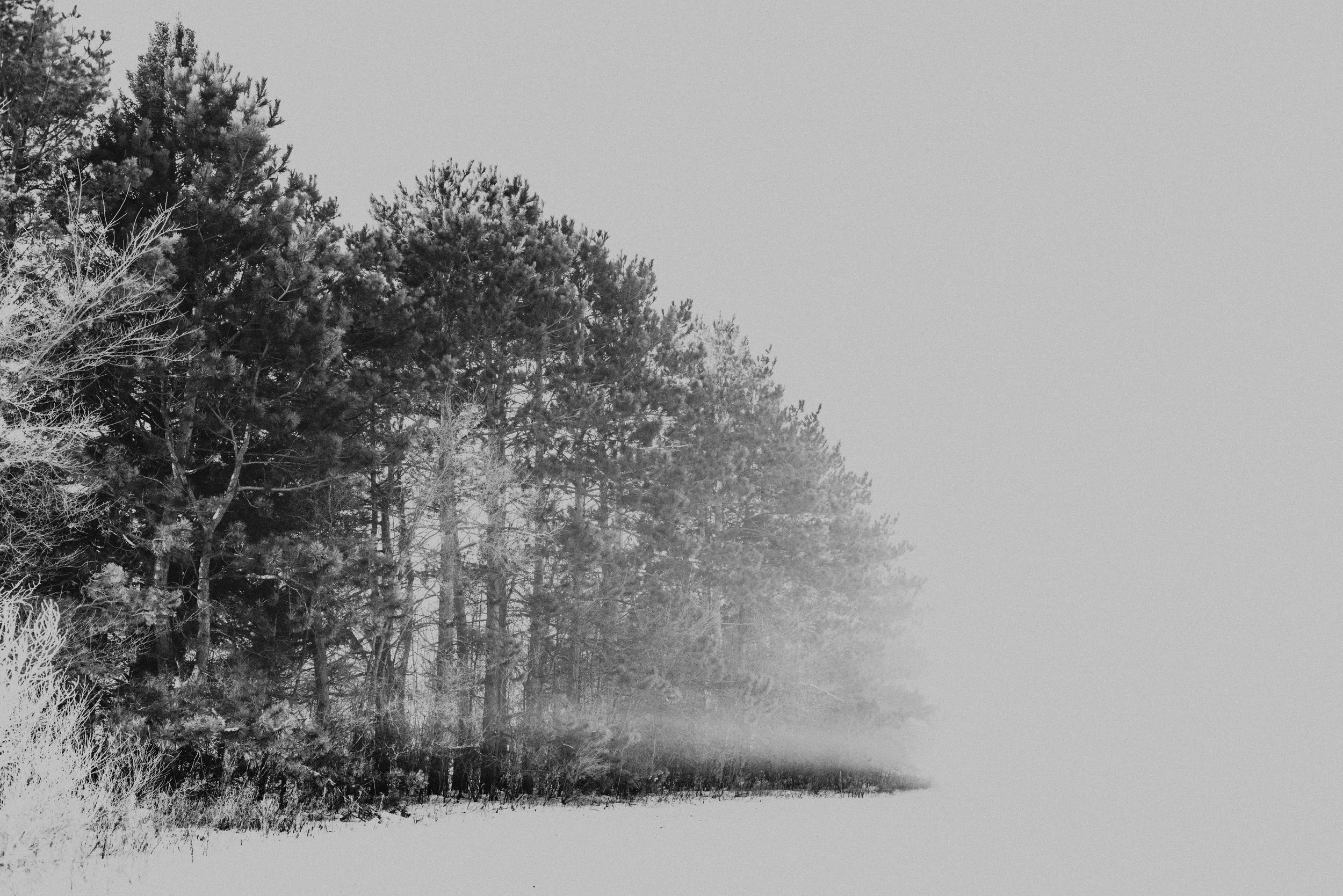 Amenities — Ivory North - Minneapolis White Barn Venue