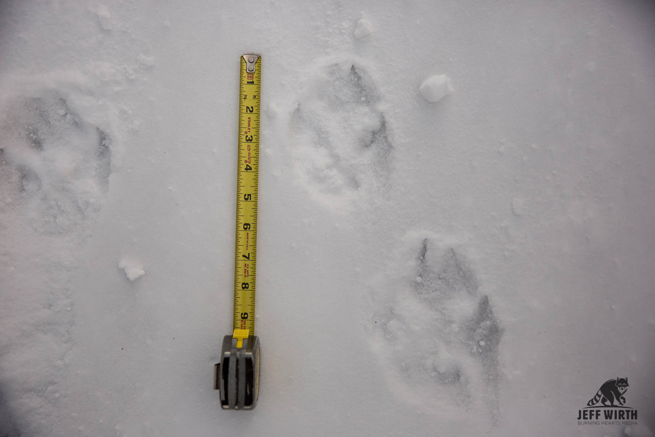 Echo Conservation Society — Stay Wild Media