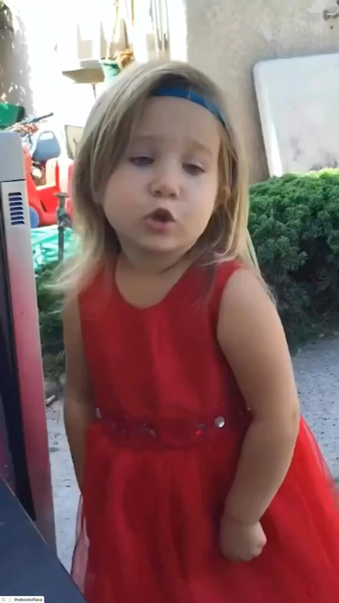 The Blueberry Peace Farm