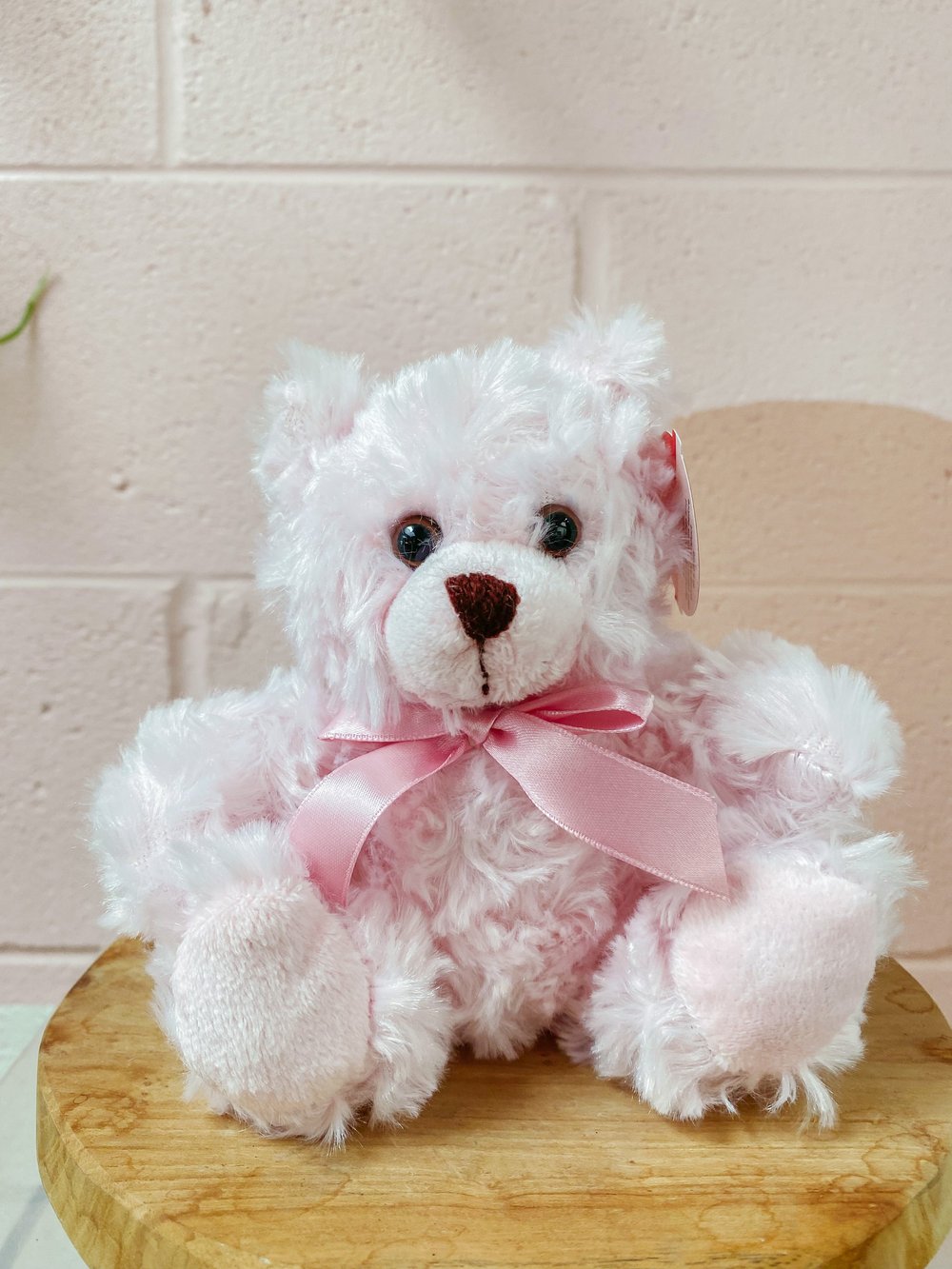 White Teddy Bear Images