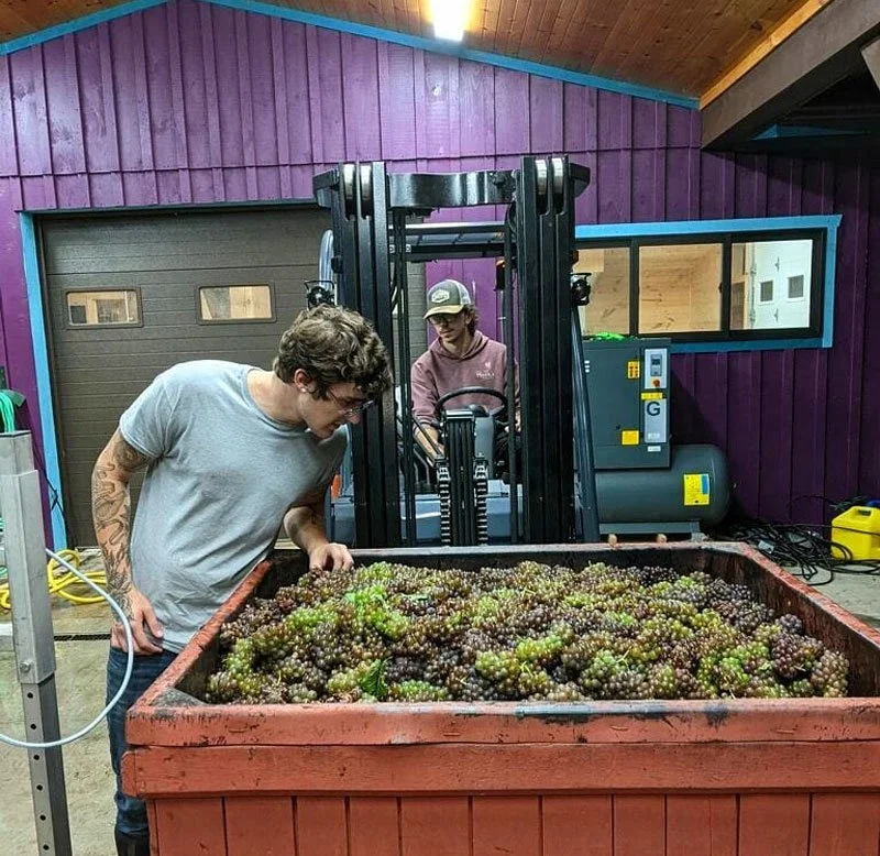 National Drink Wine Day | Finger Lakes Wine & Wine Trails