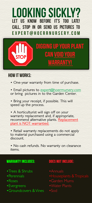 Garden Center — Hoerr Nursery