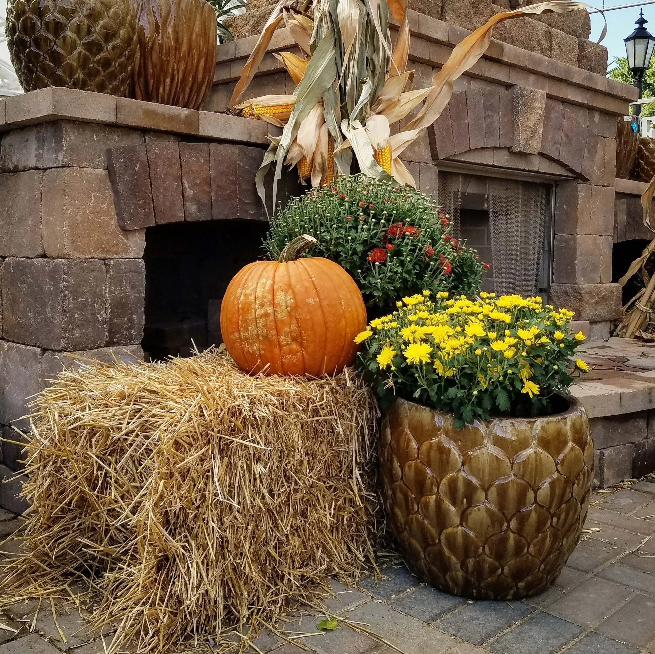 Fall — Hoerr Nursery