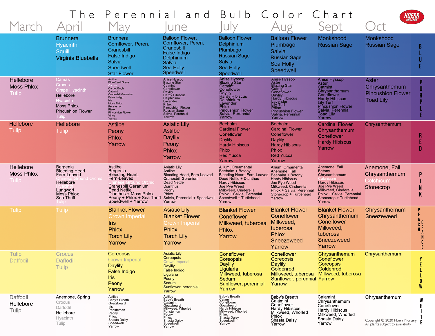 PerennialColorChart — Hoerr Nursery