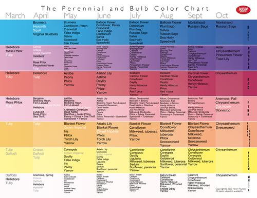 PerennialColorChart — Hoerr Nursery