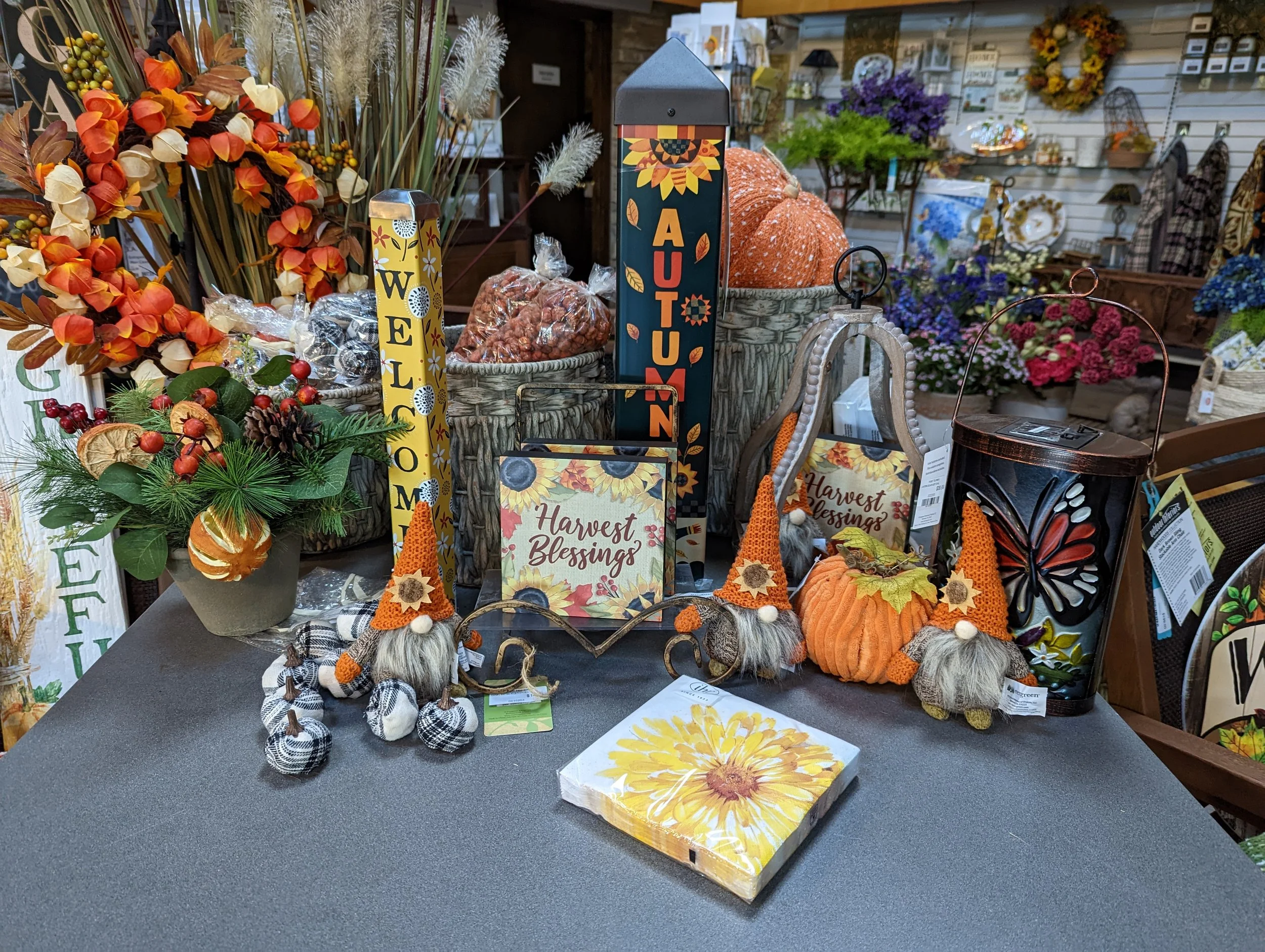 Fall — Hoerr Nursery