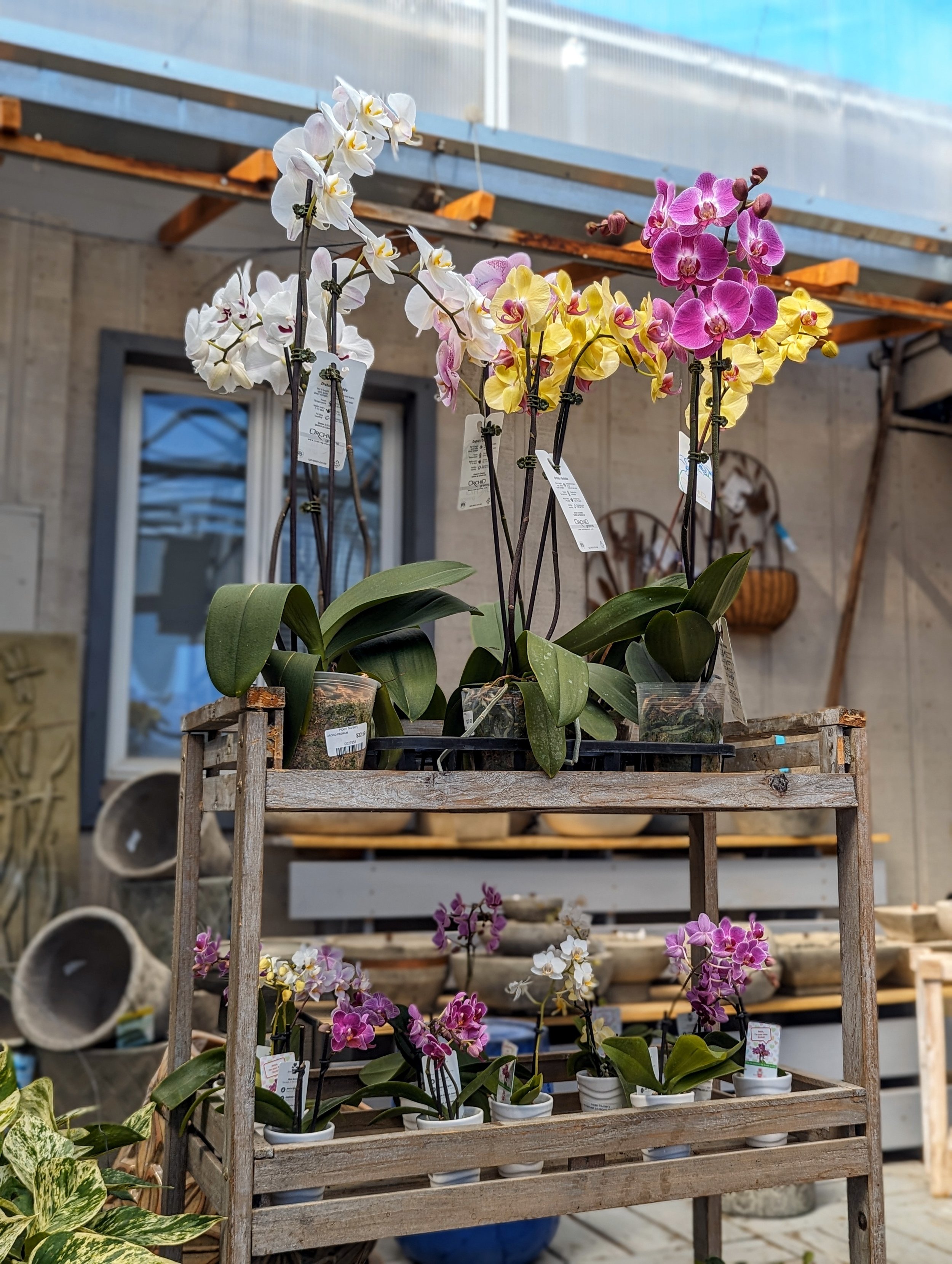 GARDEN SHOP — Hoerr Nursery