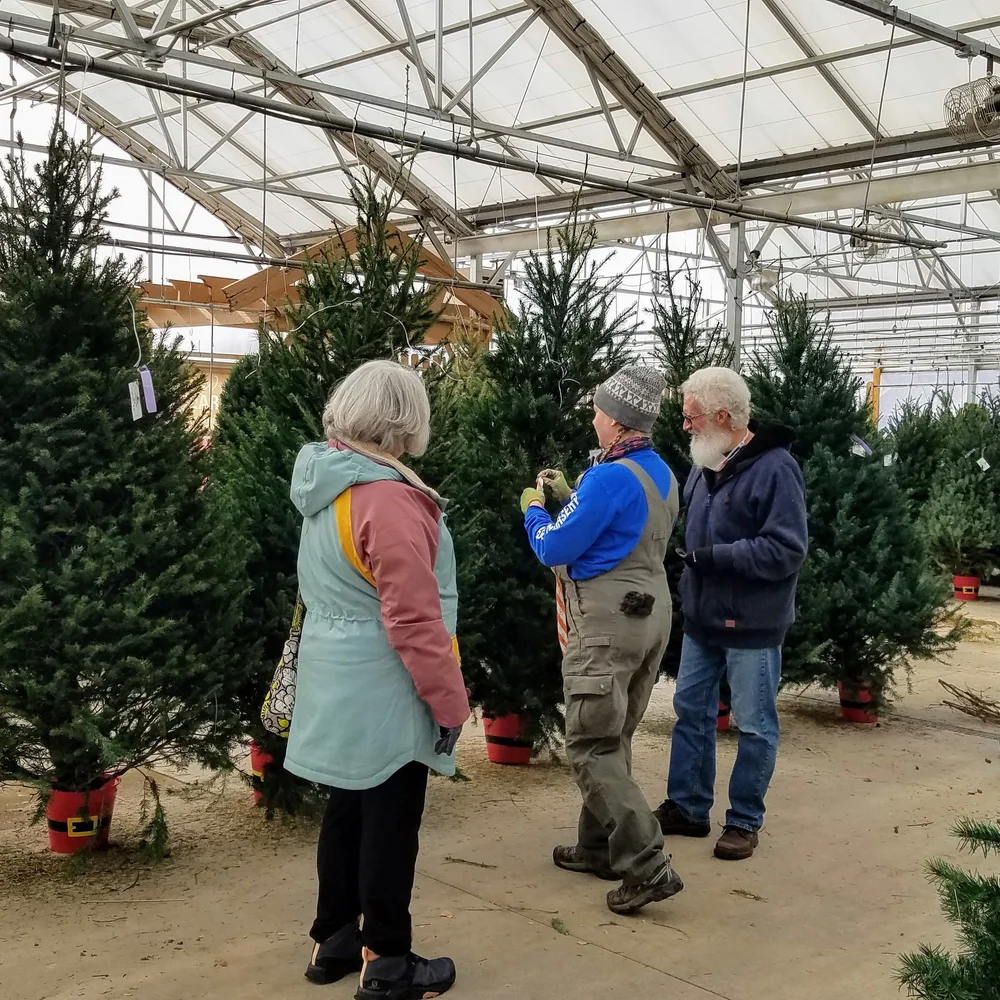 Holidays — Hoerr Nursery