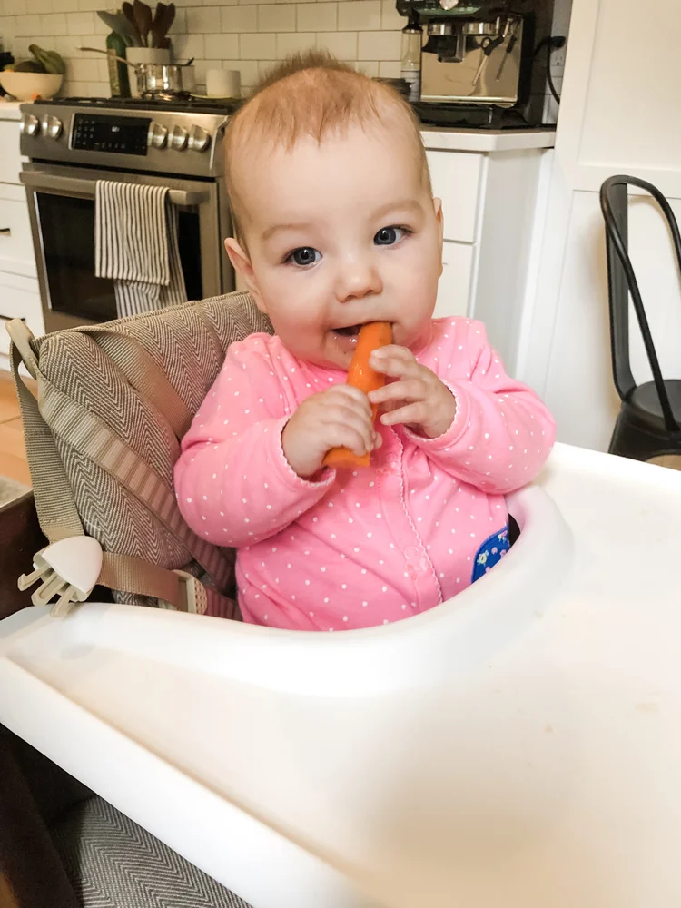 When Should My Baby Start Solid Foods? — Sprout + Thrive