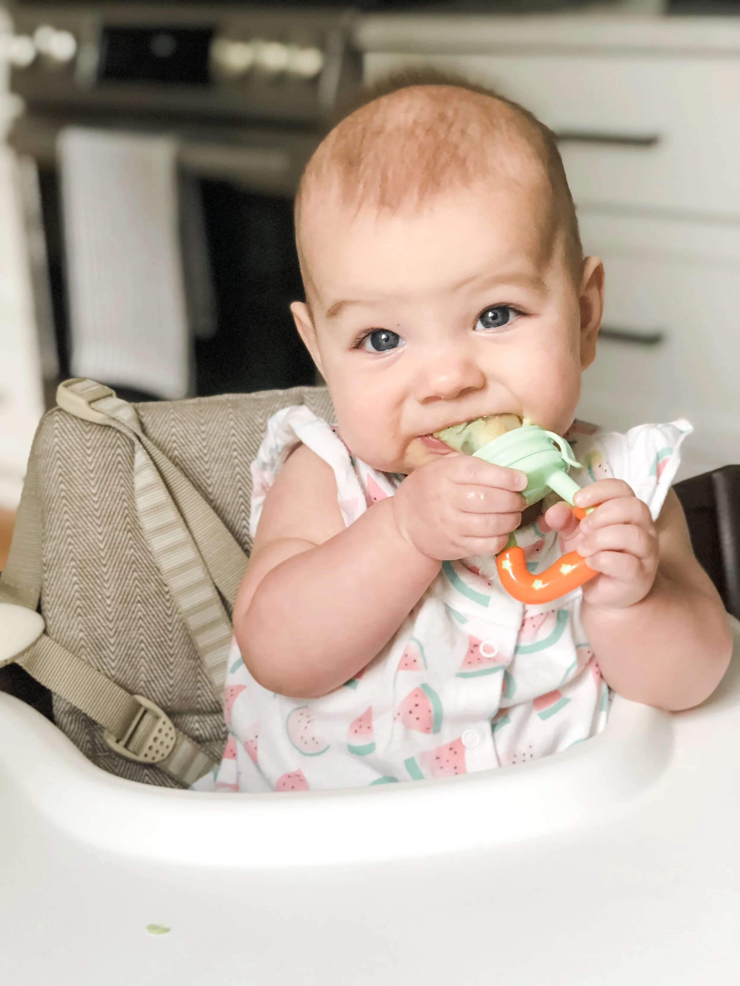 When Should My Baby Start Solid Foods Sprout Thrive when-should-my-baby-start-solid-foods-sprout-thrive