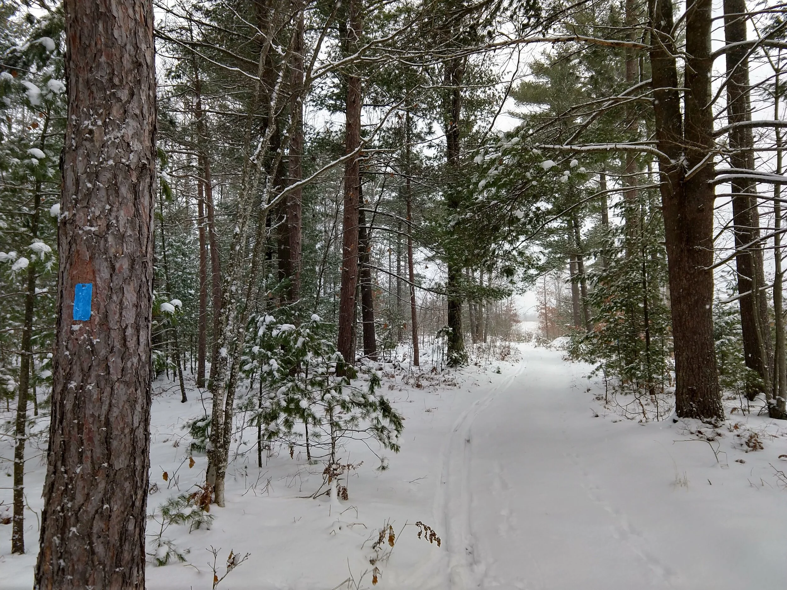 Trails — Kalkaska Conservation District
