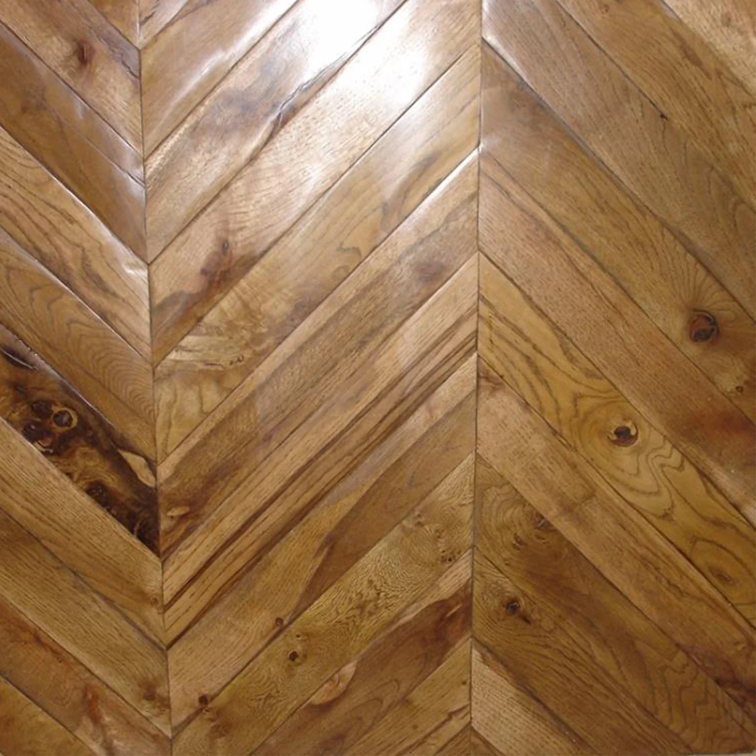 CHEVRON — TRIDENTUM