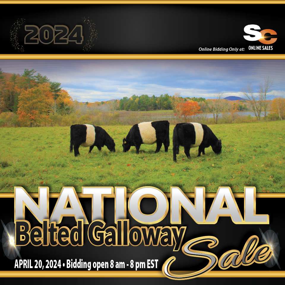 New England Galloway Group