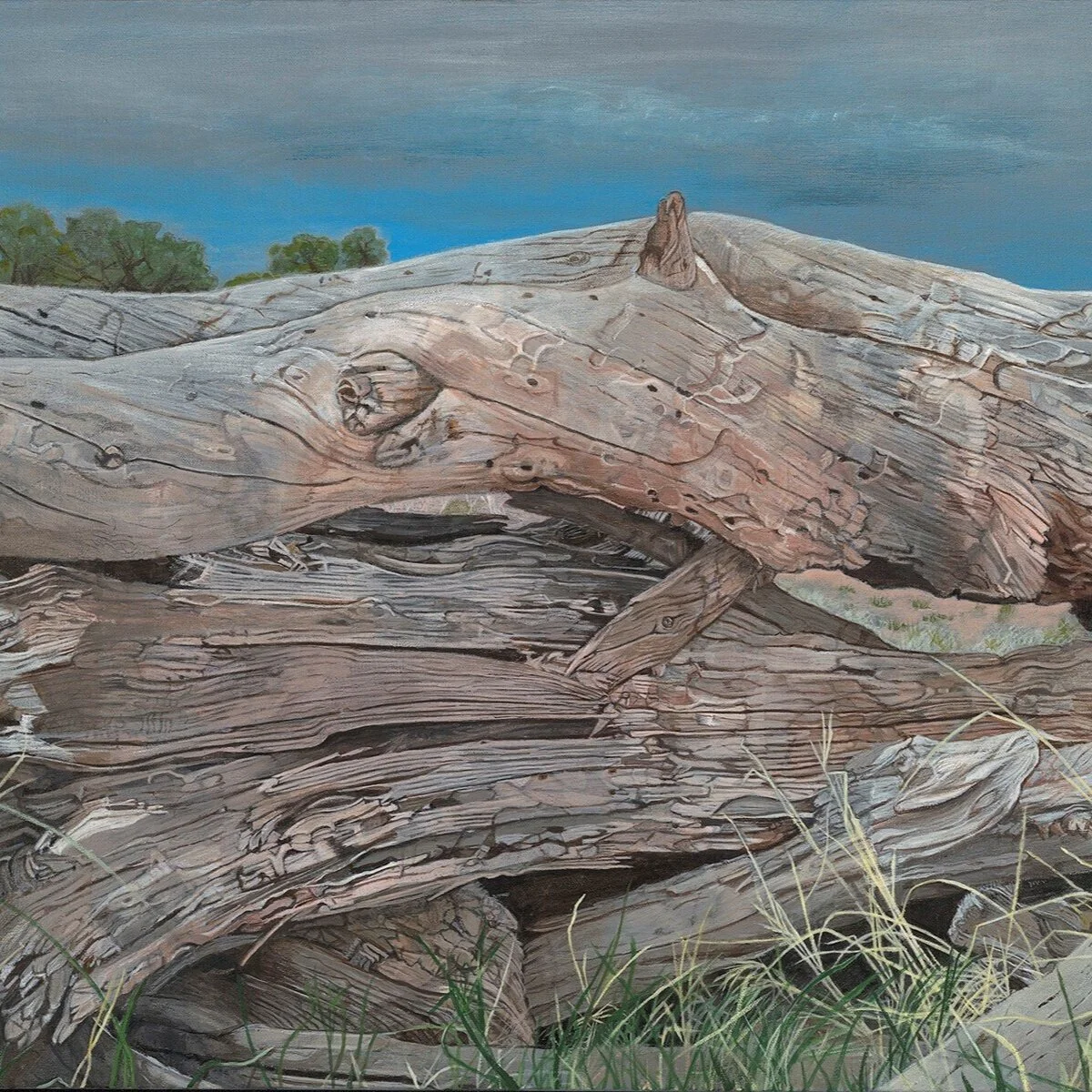 Artist Registry — New Mexico State Committee of the National Museum of ...