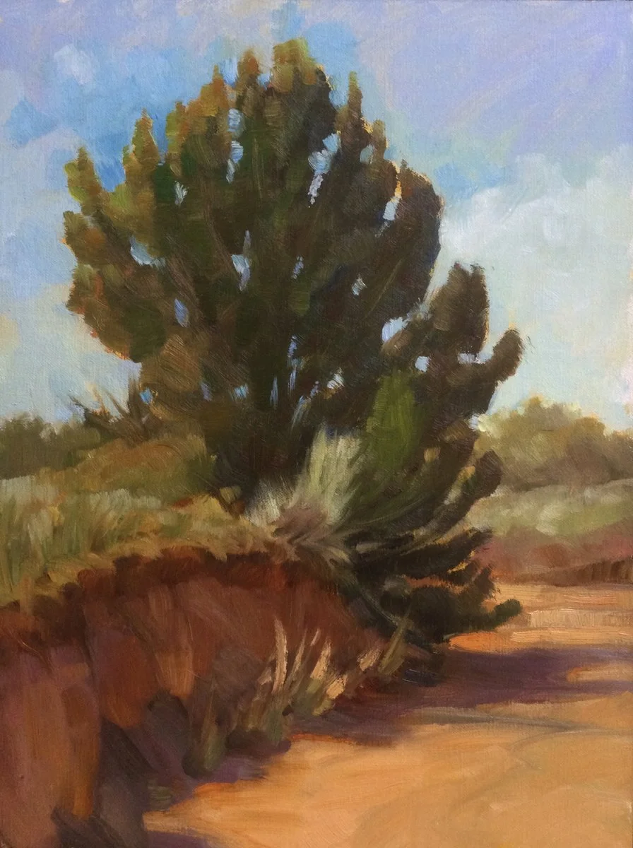 Marcia Williams — New Mexico State Committee of the National Museum of ...