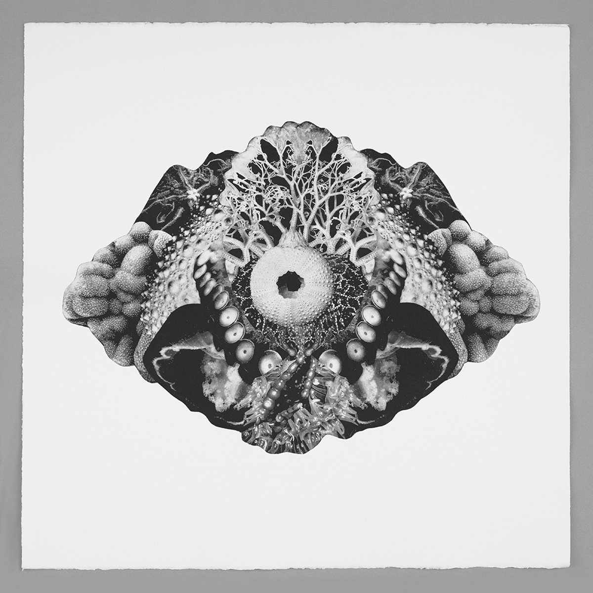 Artist Registry — New Mexico State Committee of the National Museum of ...