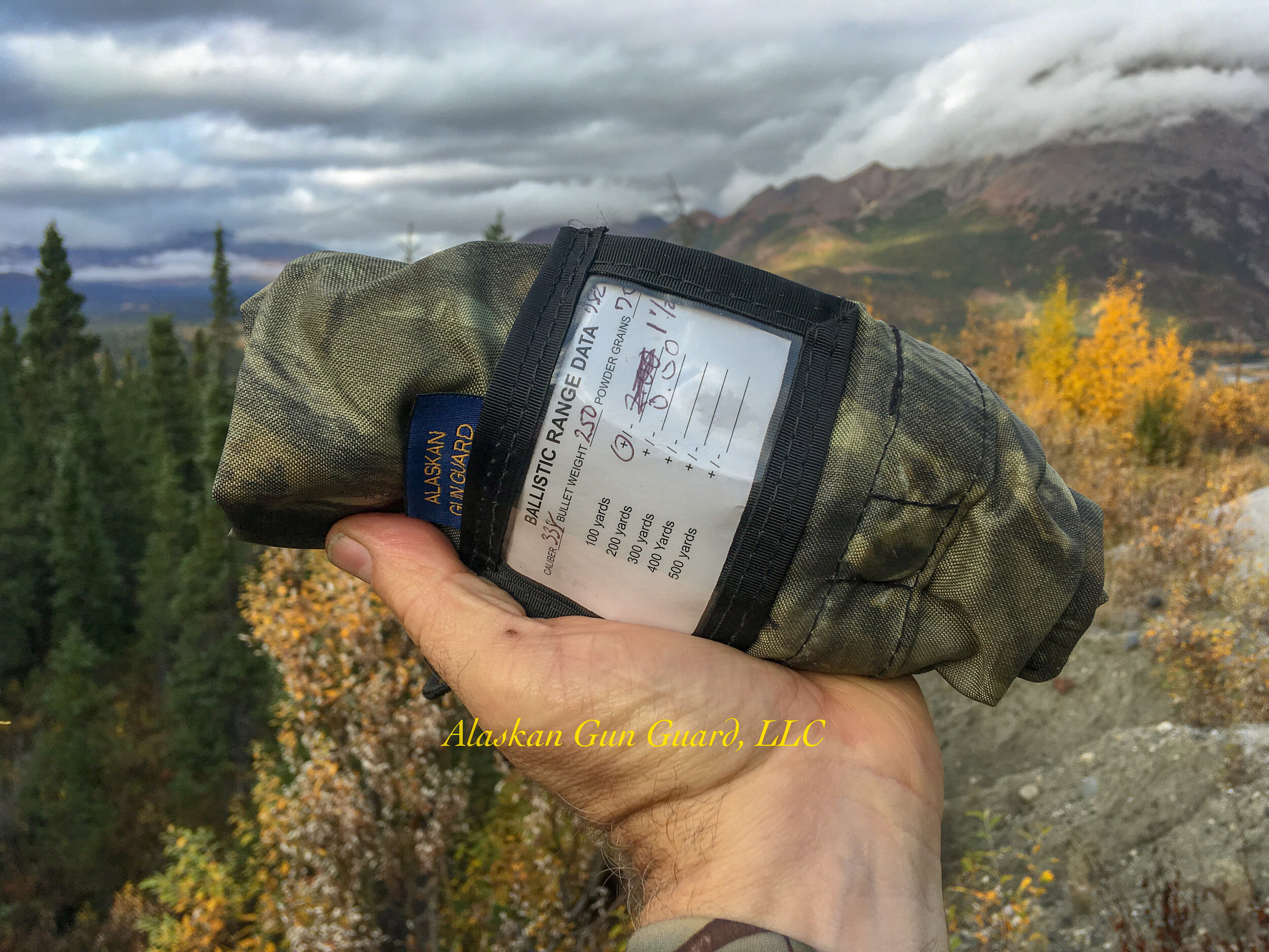 Alaskan Gun Guard, LLC