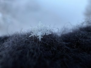 The science behind snow: How do snowflakes form? — STEAM Ahead
