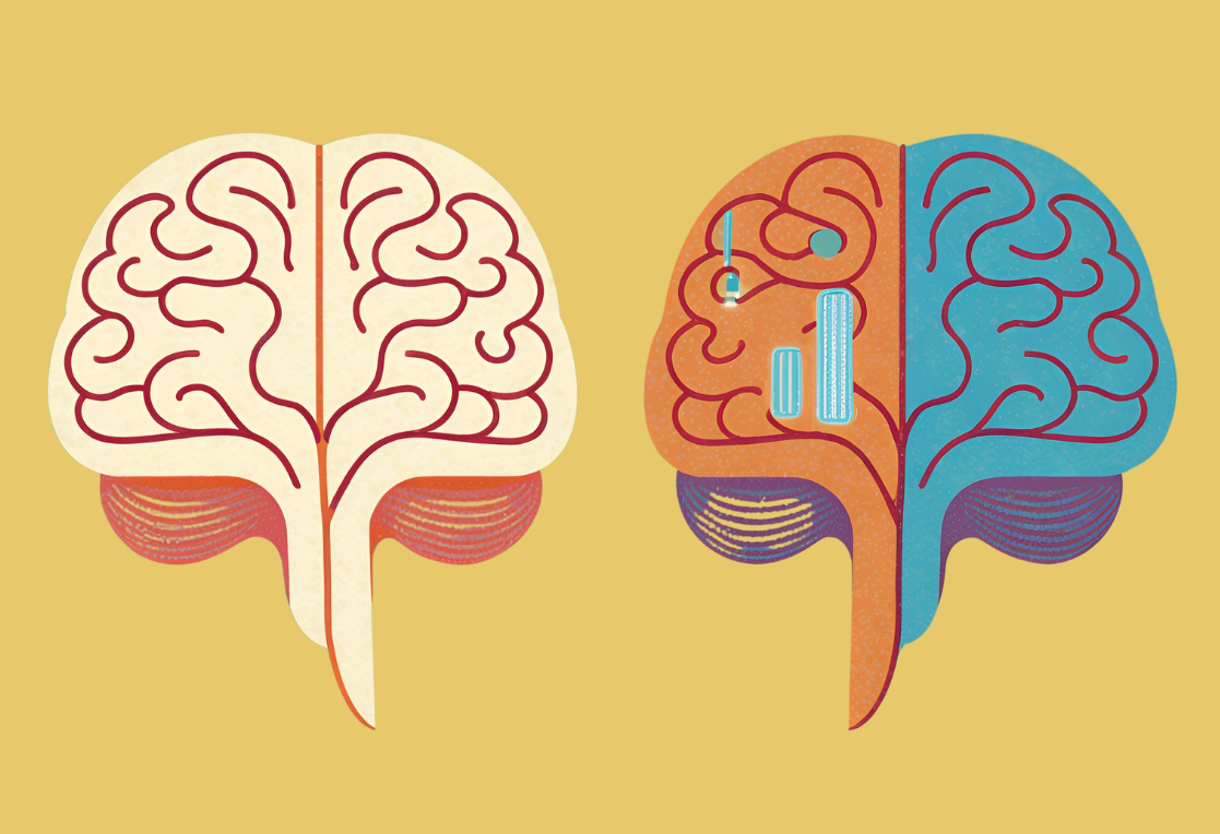 MythBuster: Left brain vs. right brain — STEAM Ahead