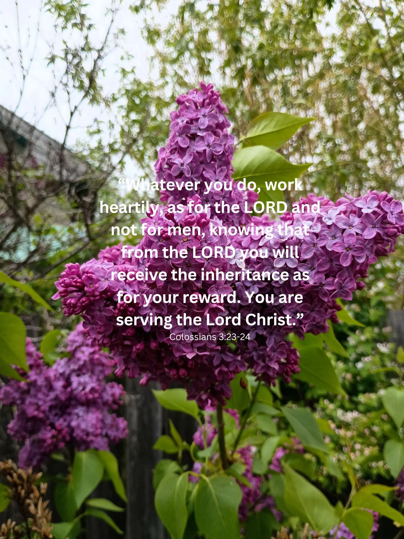 Our Invovlement — Nechako Community Church