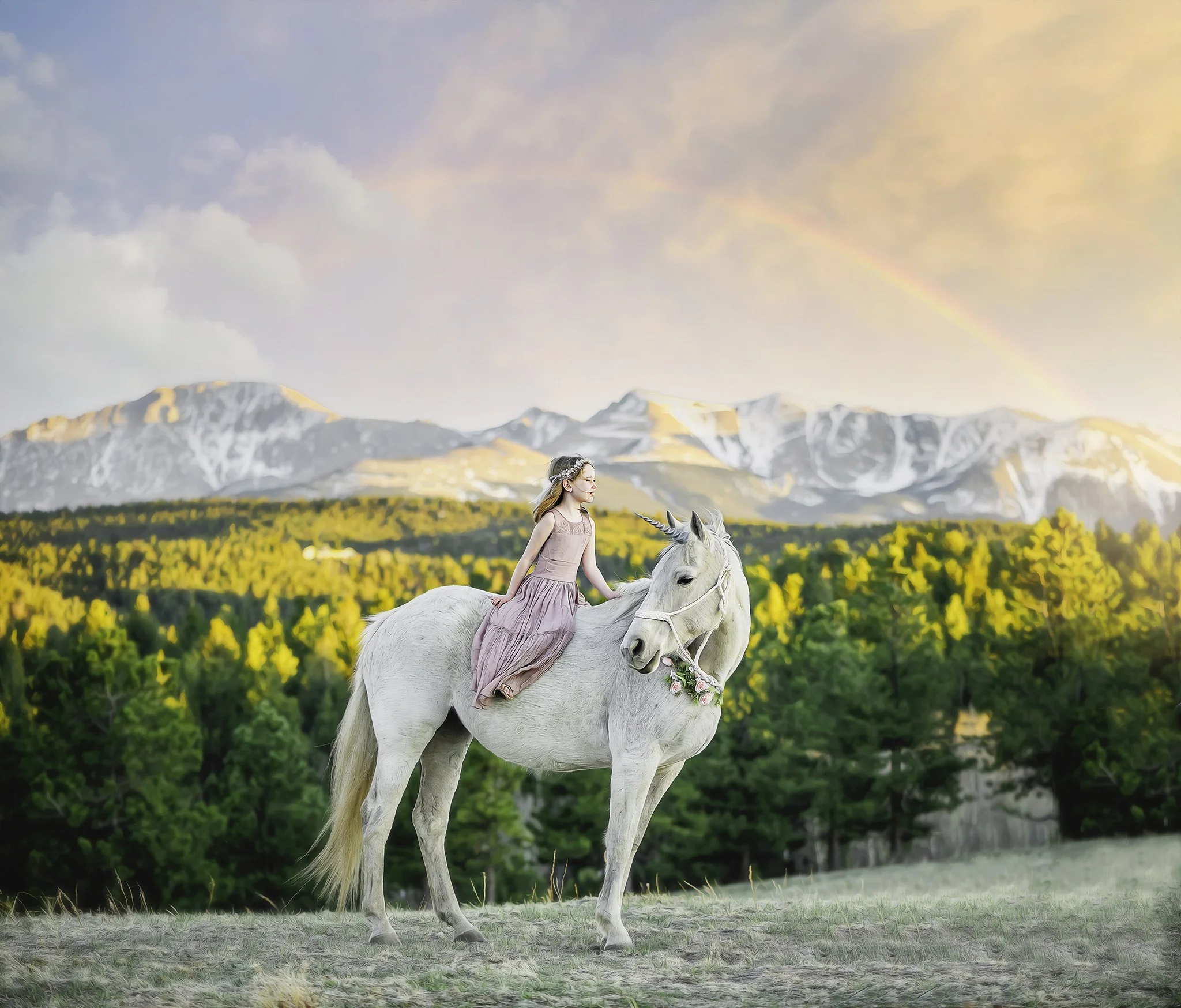 Ranch Horse Photography