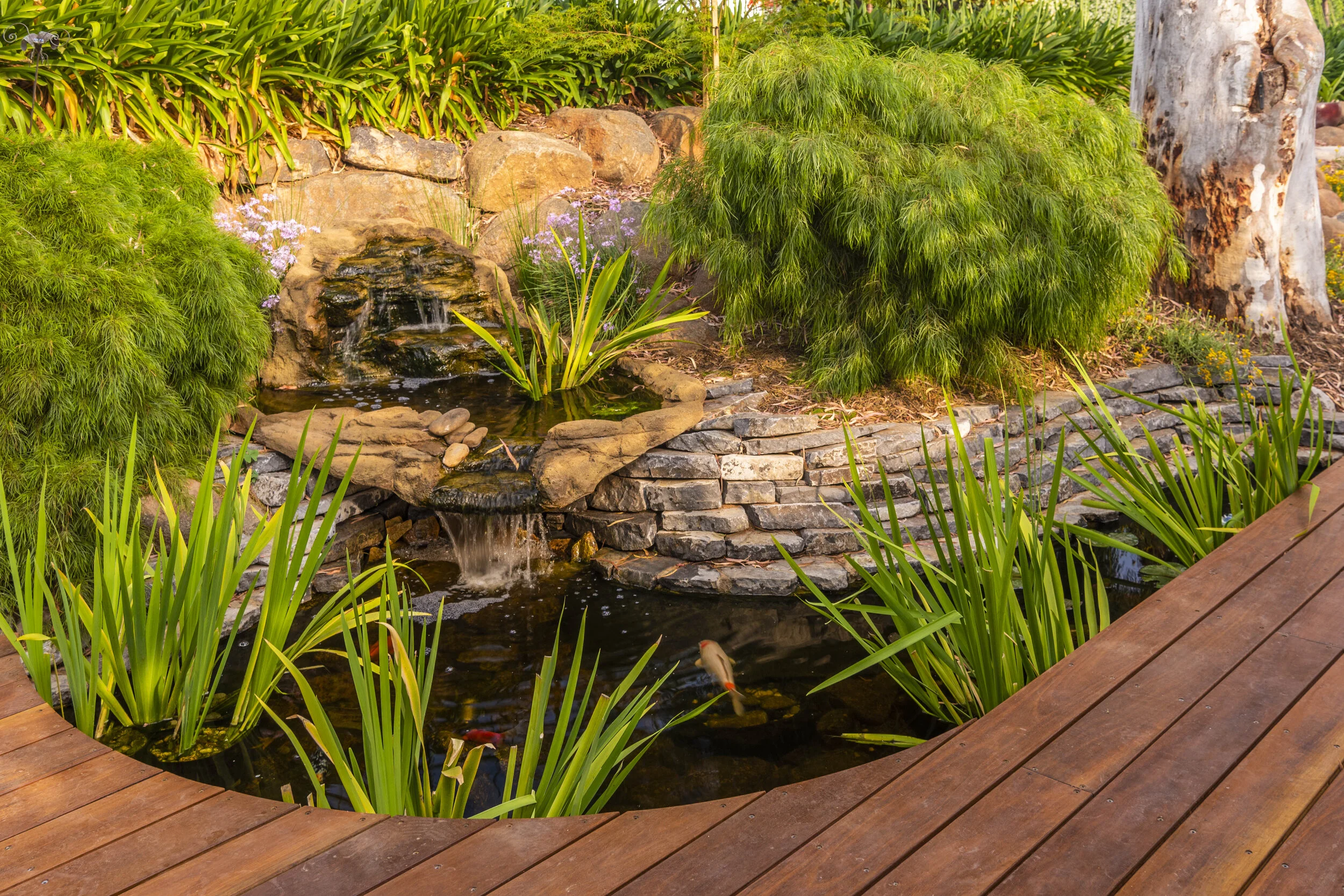 GALLERY — Canberra Gardens