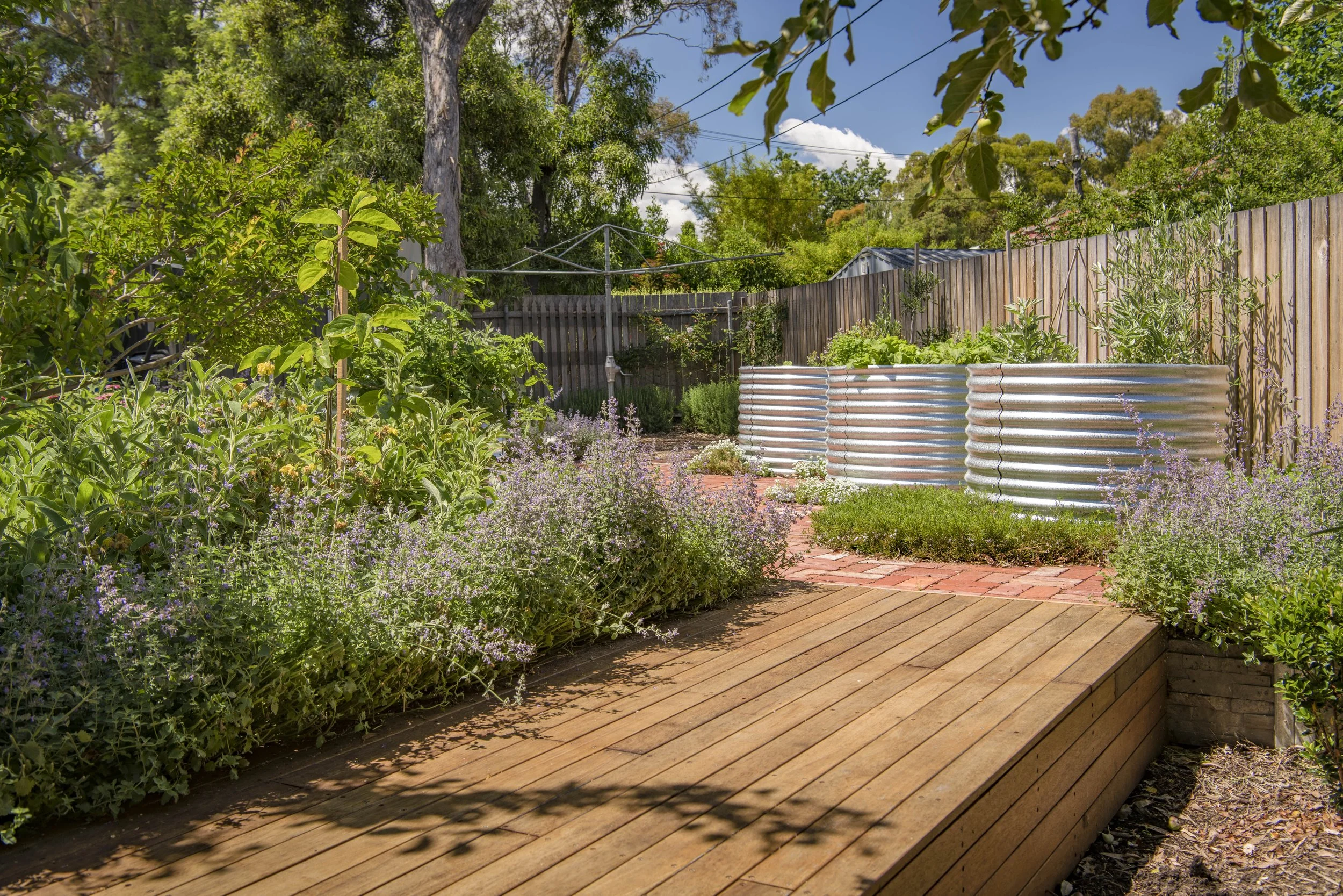 GALLERY — Canberra Gardens