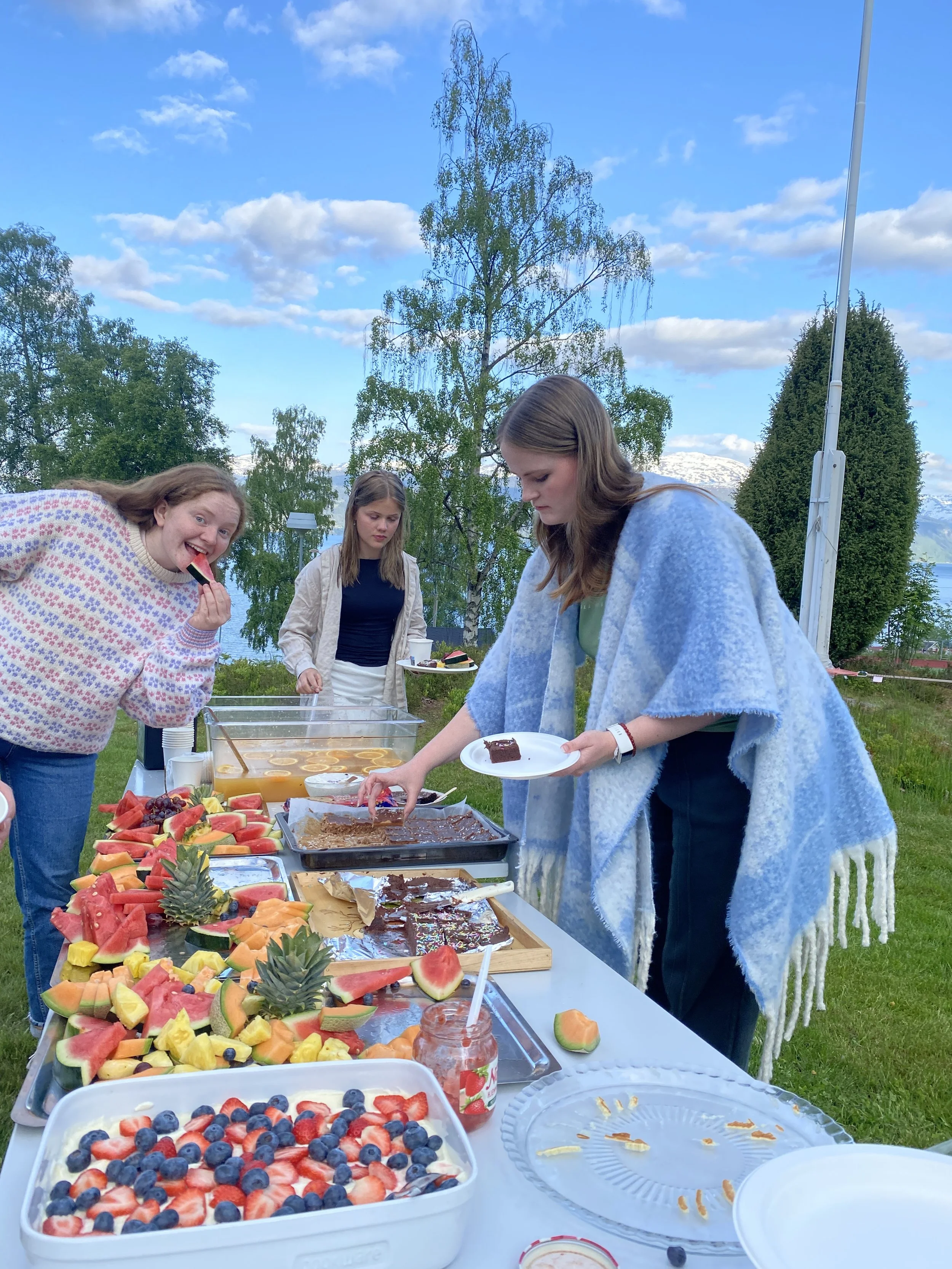 Hagefest — Sygna vgs