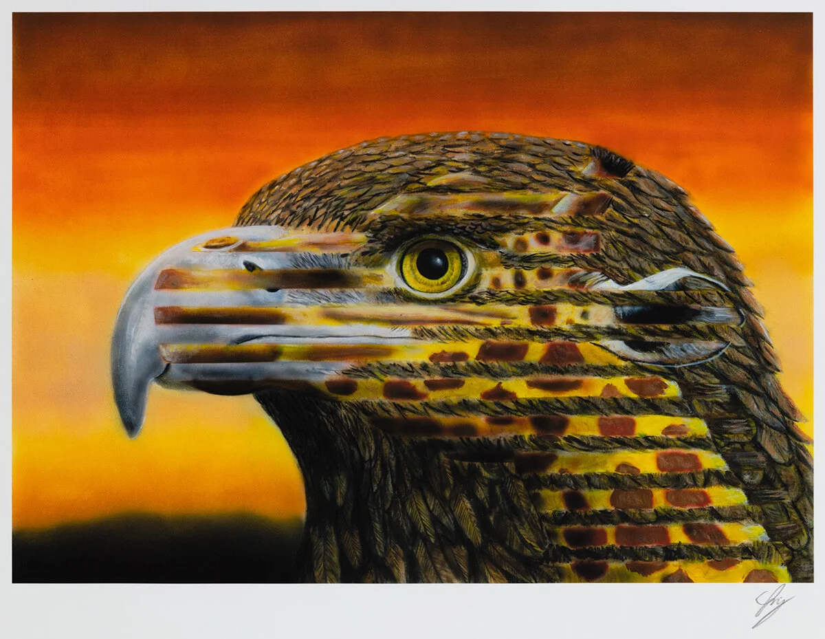 Cee Pil — fitz contemporary