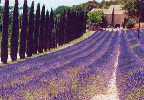 Classic Drome - easy walking and sightseeing guided holiday