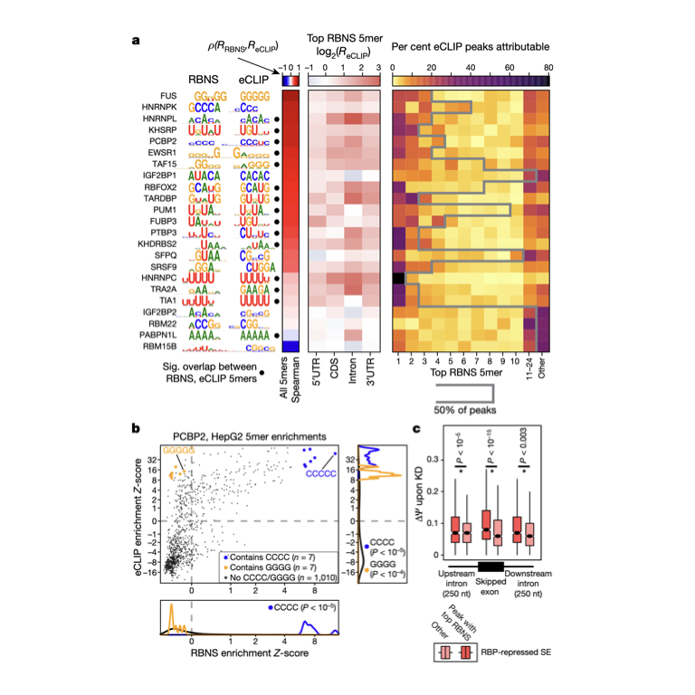 Christopher Burge Laboratory