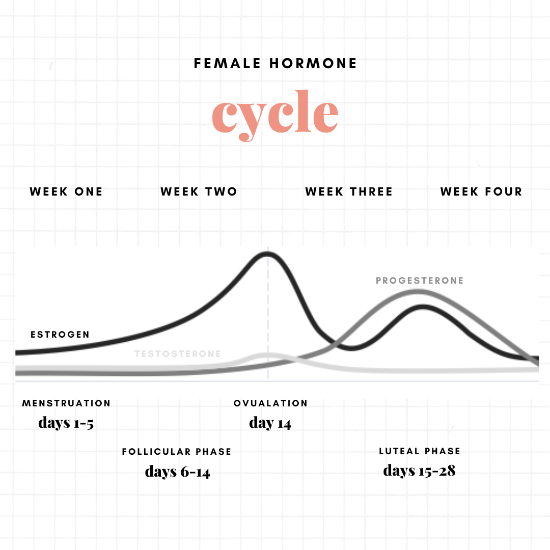 Let’s Talk Periods — Skin MPLS
