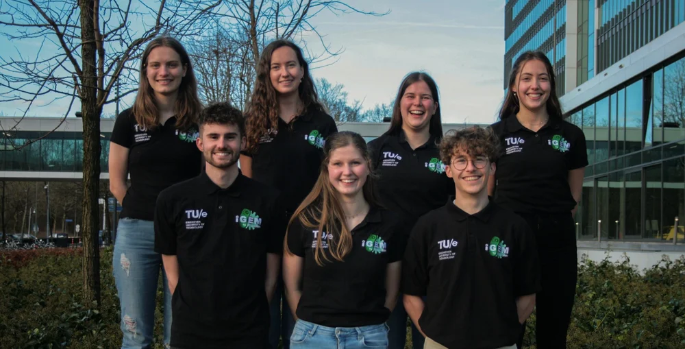 How are iGEM Teams Using Synthetic Biology for Tackling Rare Diseases ...